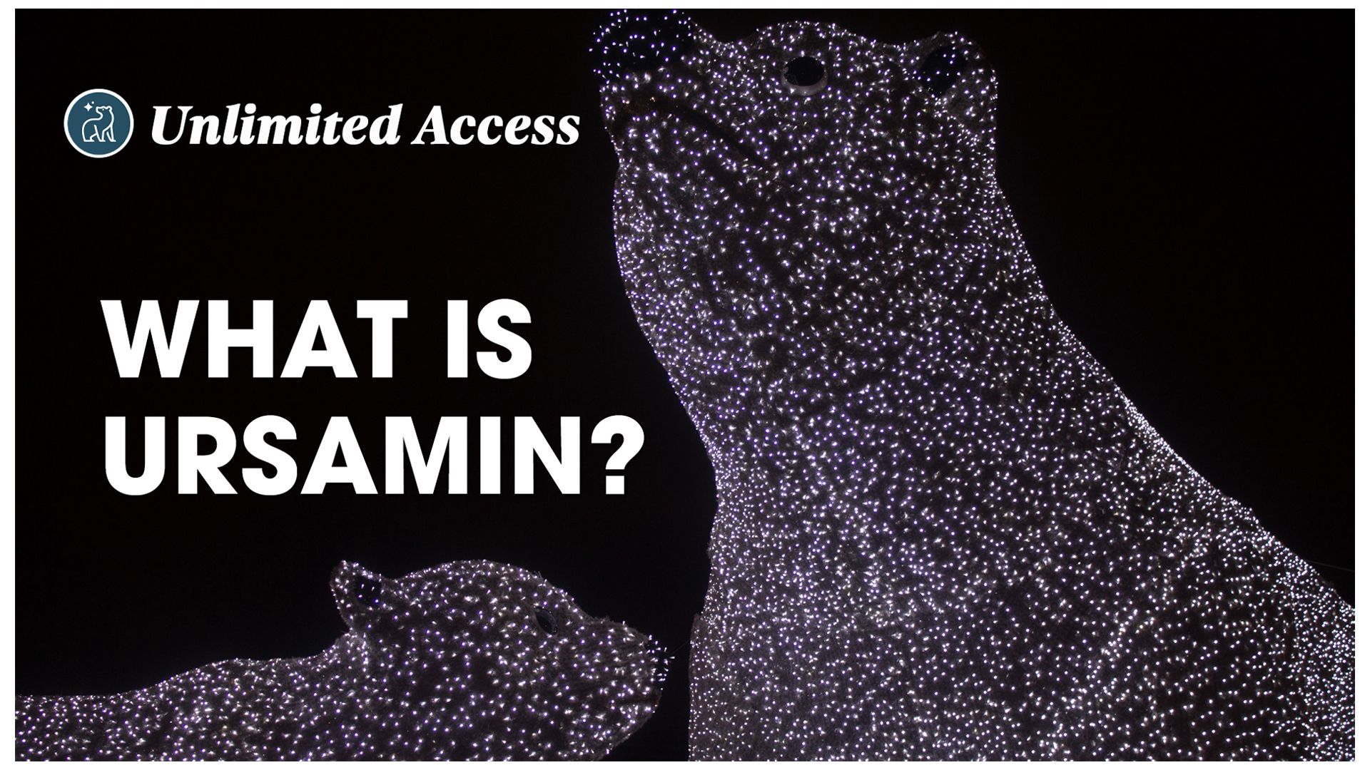 What is Ursamin? - Ursamin